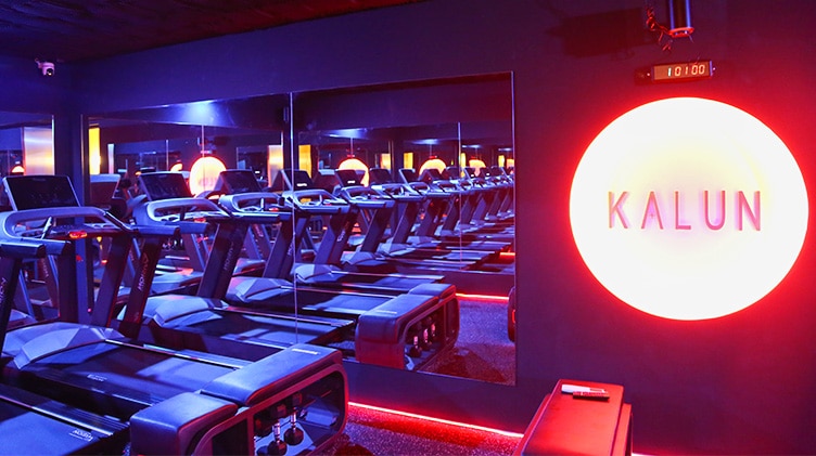 Directorio - Palmas Uno